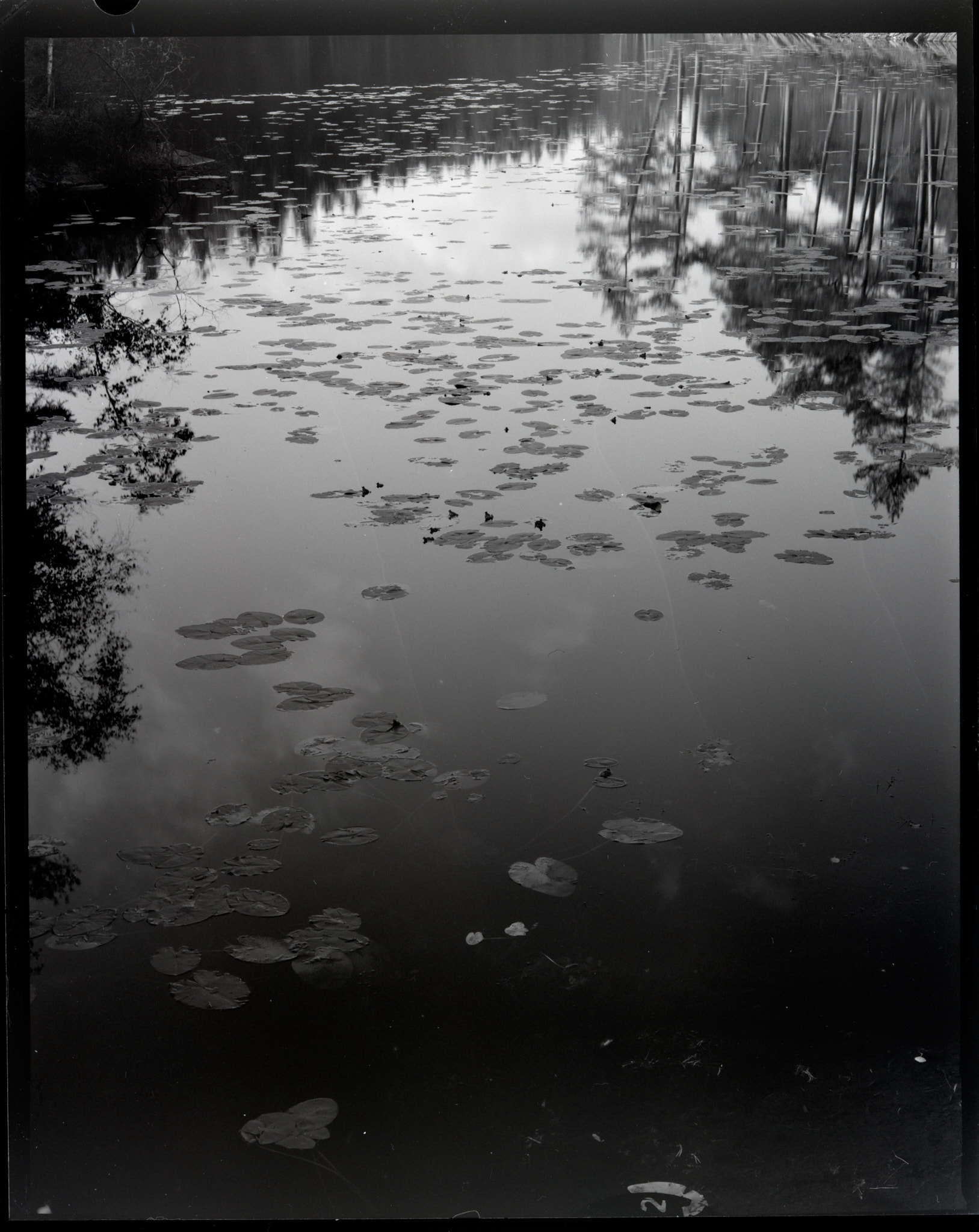 Revisiting old negatives – Timothy Dahlum